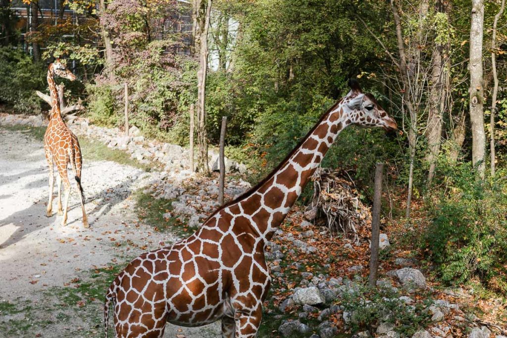 Bis bald München Thalkirchen - 25gradundblauerhimmel