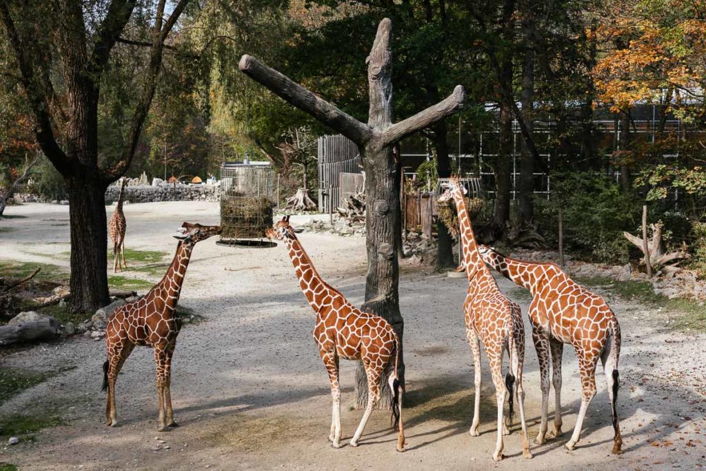 Bis bald München Thalkirchen - 25gradundblauerhimmel